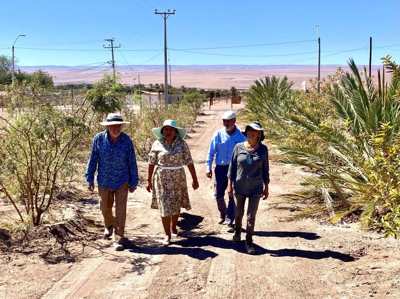 Agricultores del Valle de Quisma desarrollan producción orgánica de ...